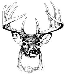 Wild Game Processing